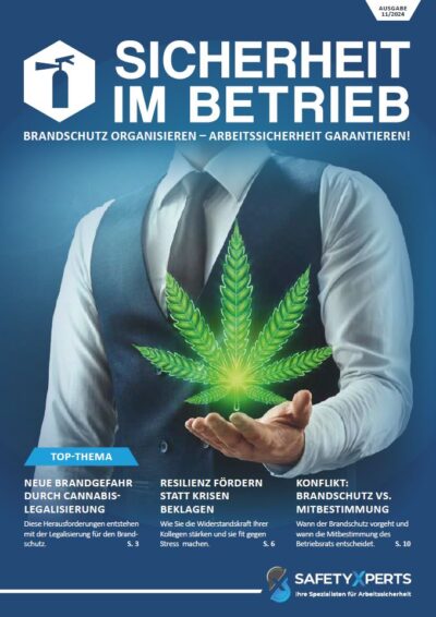 11/2024 - SafetyXperts