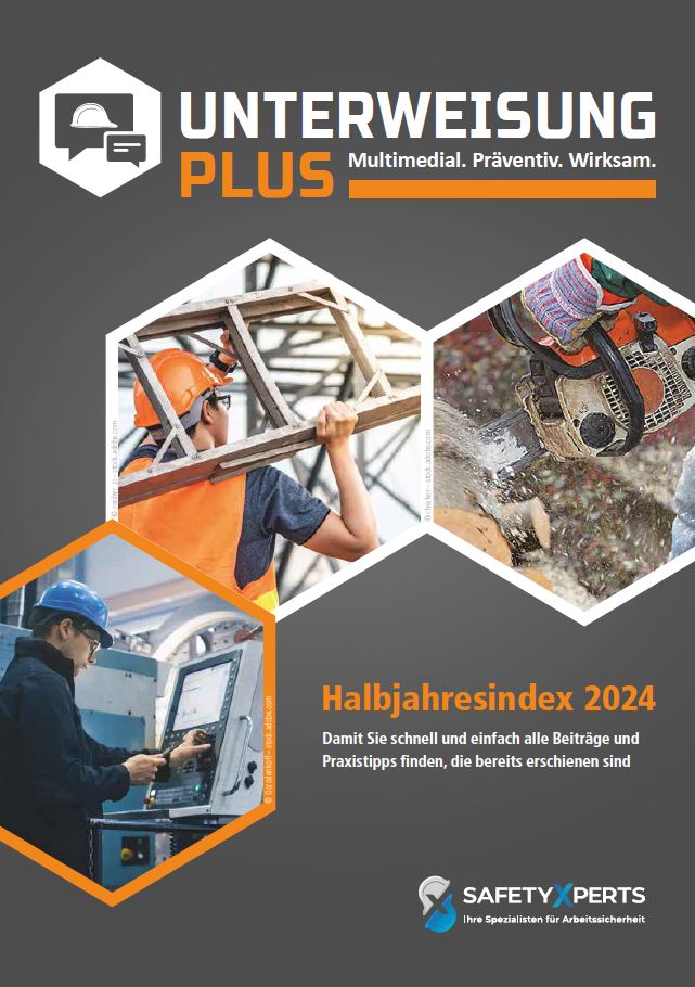 Halbjahresindex 2024 - SafetyXperts