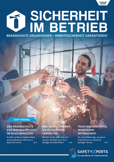 24/2024 - SafetyXperts