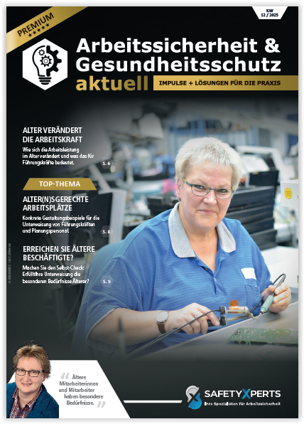 KW 12/2025 - SafetyXperts