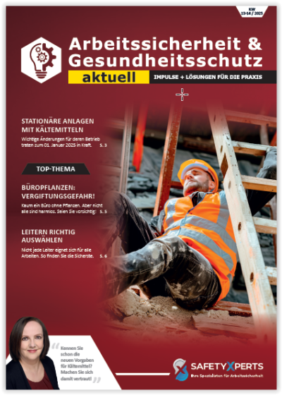 KW 13-14/2025 - SafetyXperts