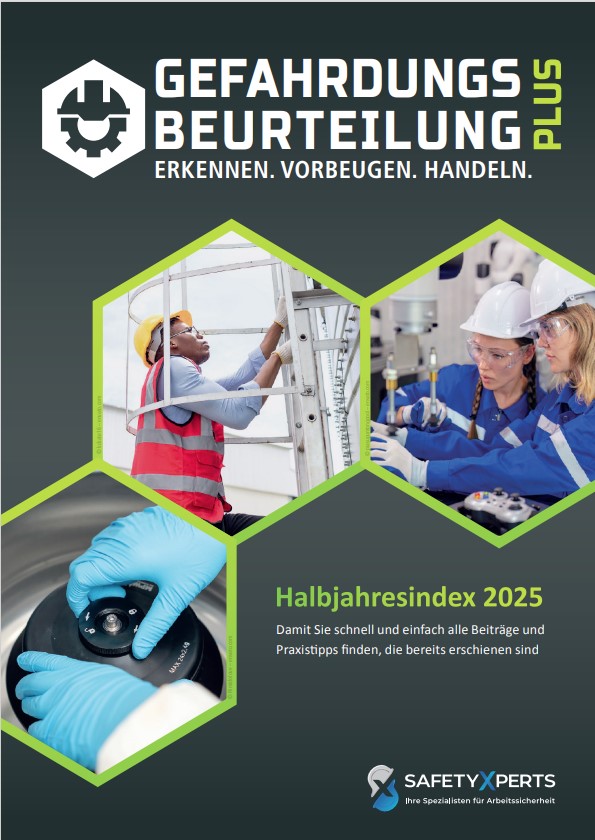 Halbjahresindex 2025 - SafetyXperts